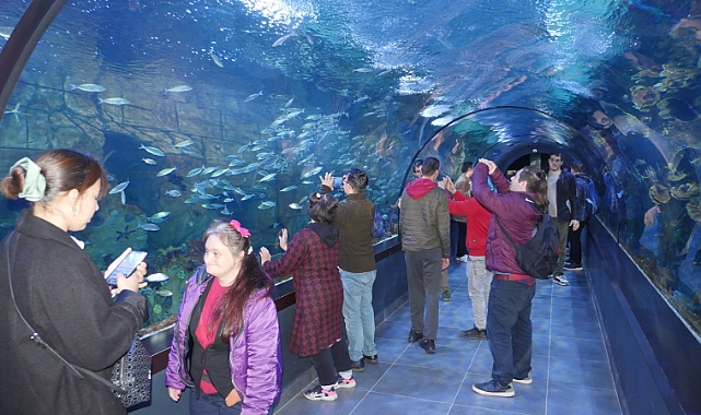 ÖZEL GEREKSİNİMLİ BİREYLER SU ALTI CANLILARI İLE TANIŞTI - Trabzon ...